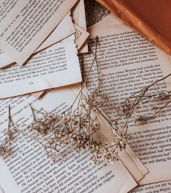 Elementor Page Three - Jolene Haley